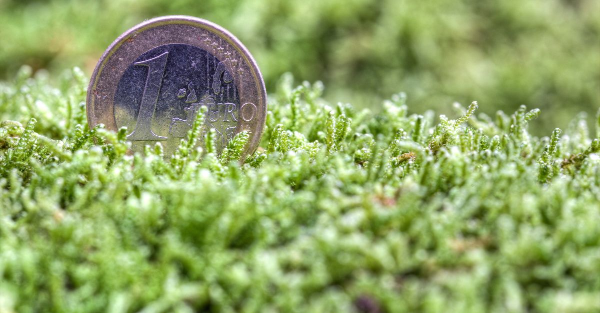 De socio-economische impact van de klimaattransitie - TNO Vector