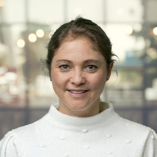 Gabi Doci - TNO Vector