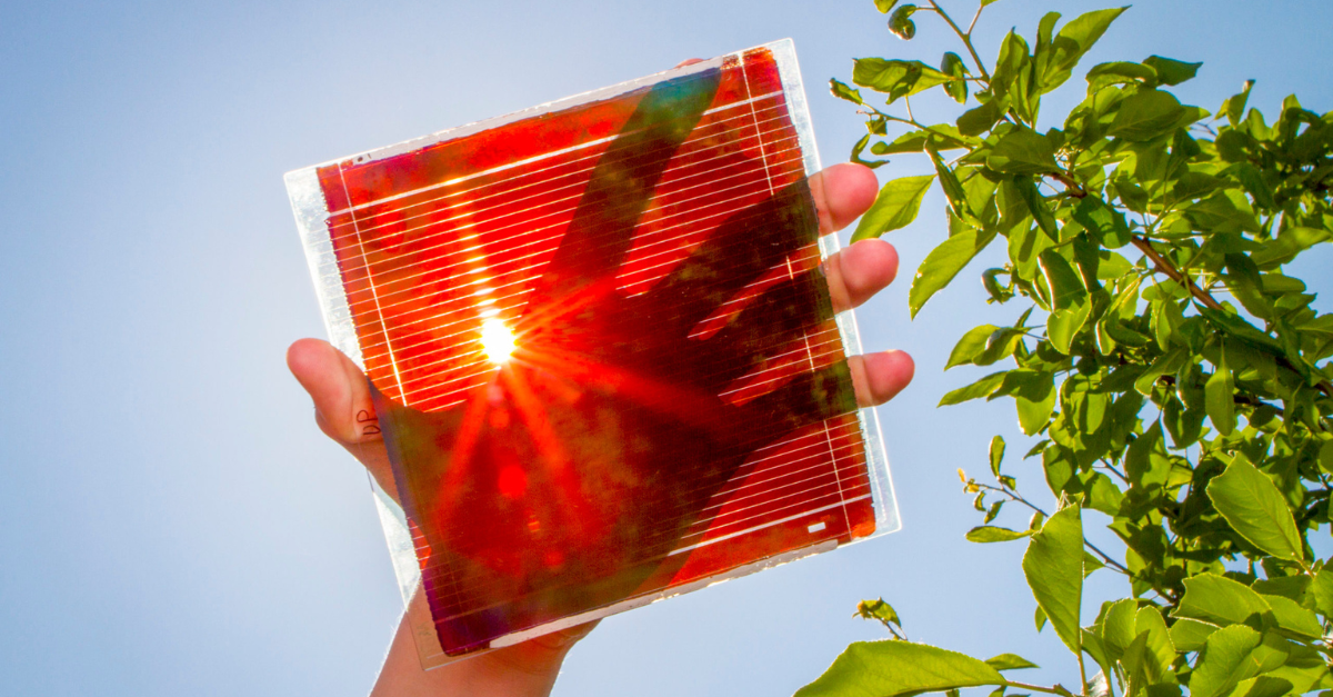 Integrale innovatie leidt tot succesvolle maatschappelijke transformaties - TNO Vector